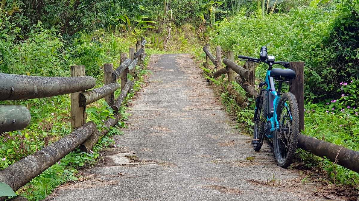 An afternoon mountain bike ride with your family in Midlands Dam ...