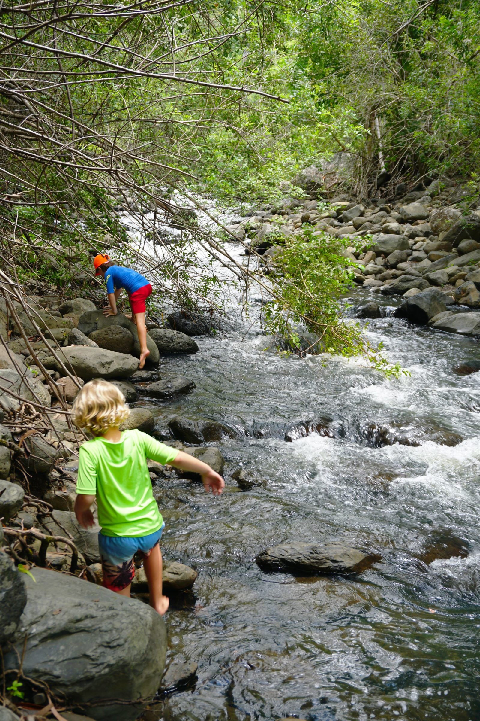 The Black River Gorges in Mauritius: a nice family walk to do ...