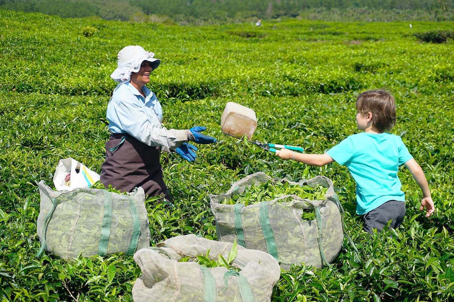 Terrestrial Activity in Mauritius | Bike Ride in Mauritius | VTT Mauritius